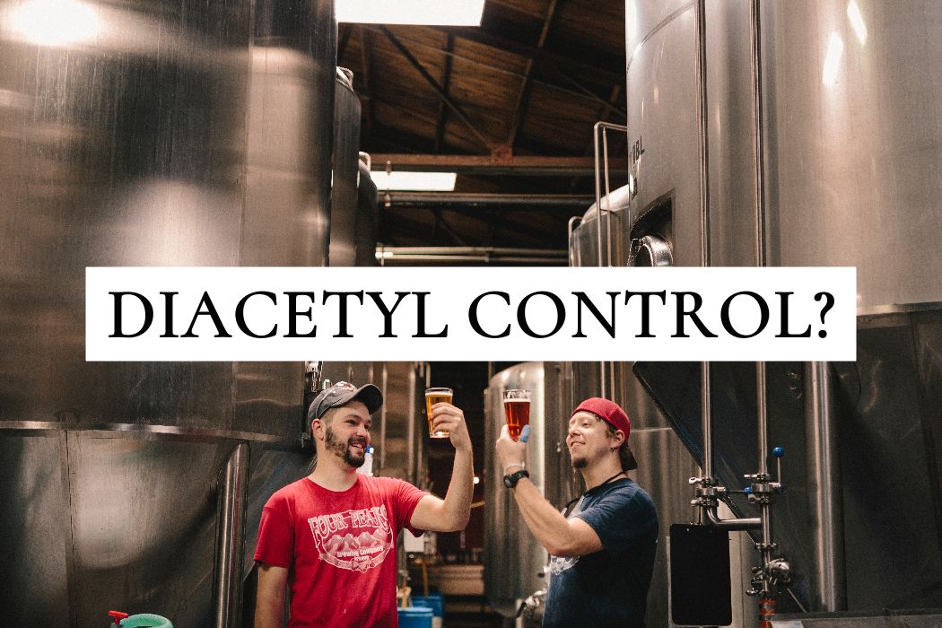 Diketon và kỹ thuật loại bỏ diacetyl trong sản xuất bia | FoSciTech