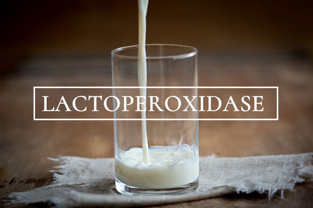 Xác định hoạt độ enzyme lactoperoxidase của sữa TCVN 11680:2011 | FoSciTech